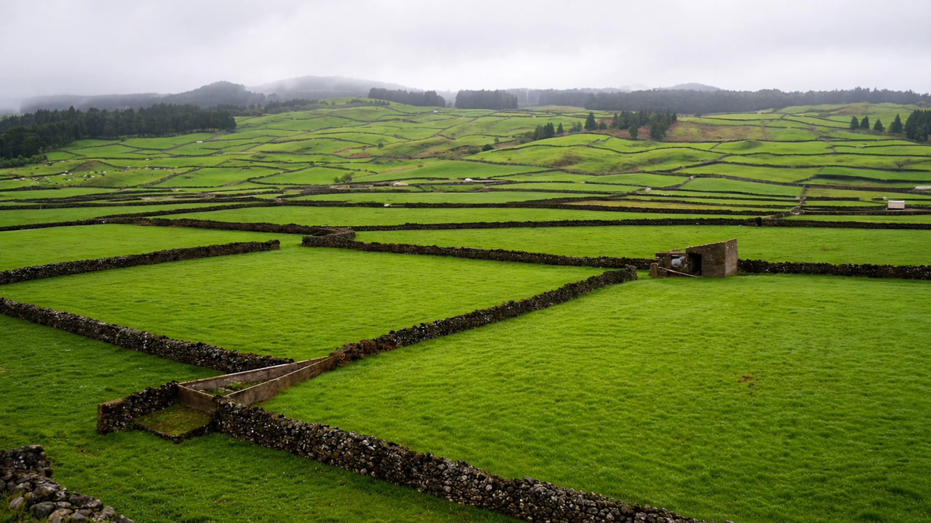 Is This the Most Organized Nature Spot