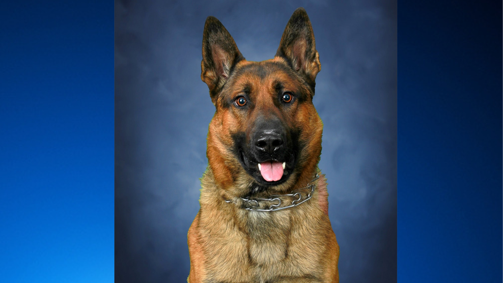 Indiana State Police mourn loss of retired K9 Nikan