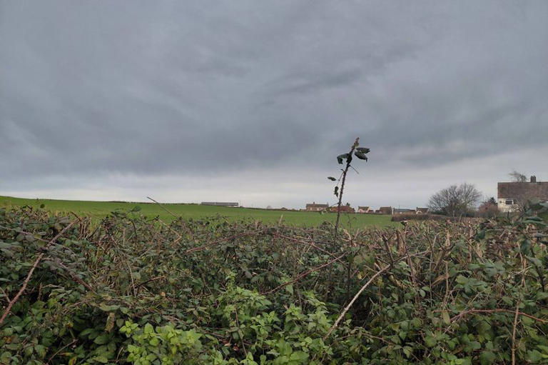 New North Petherton GP surgery may not be built until at least 2027