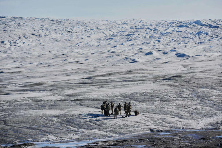 What is Greenland’s Sirius Dog Sled Patrol and other elite forces? The ...