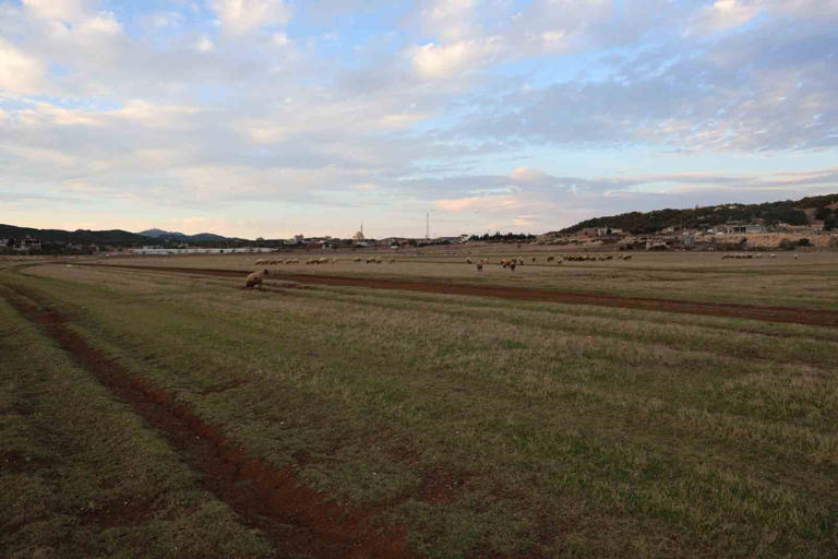 Kuraklıkla mücadele eden Hatay’da bereketin simgesi Kızılgöl yeniden ...