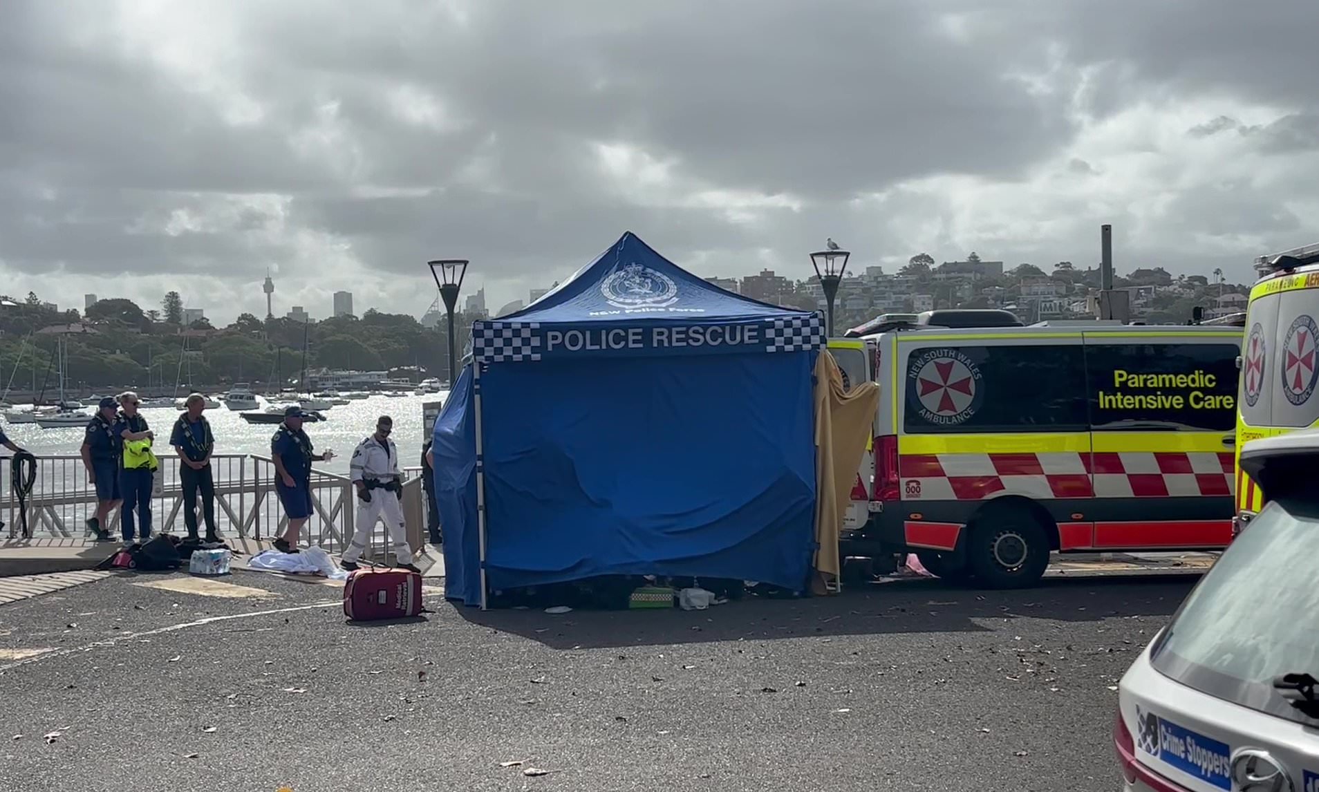 Shark attack in Sydney's Rose Bay: Boy is fighting for life after being ...