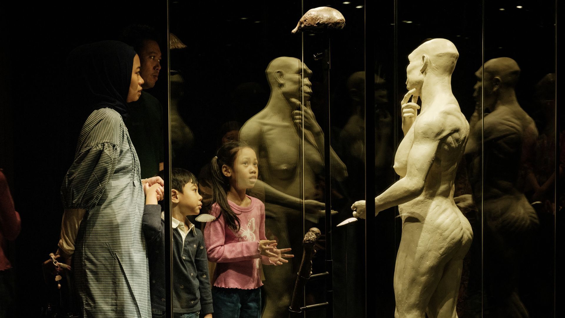 Indonesia welcomes return of 'Java Man', first fossil evidence of Homo ...