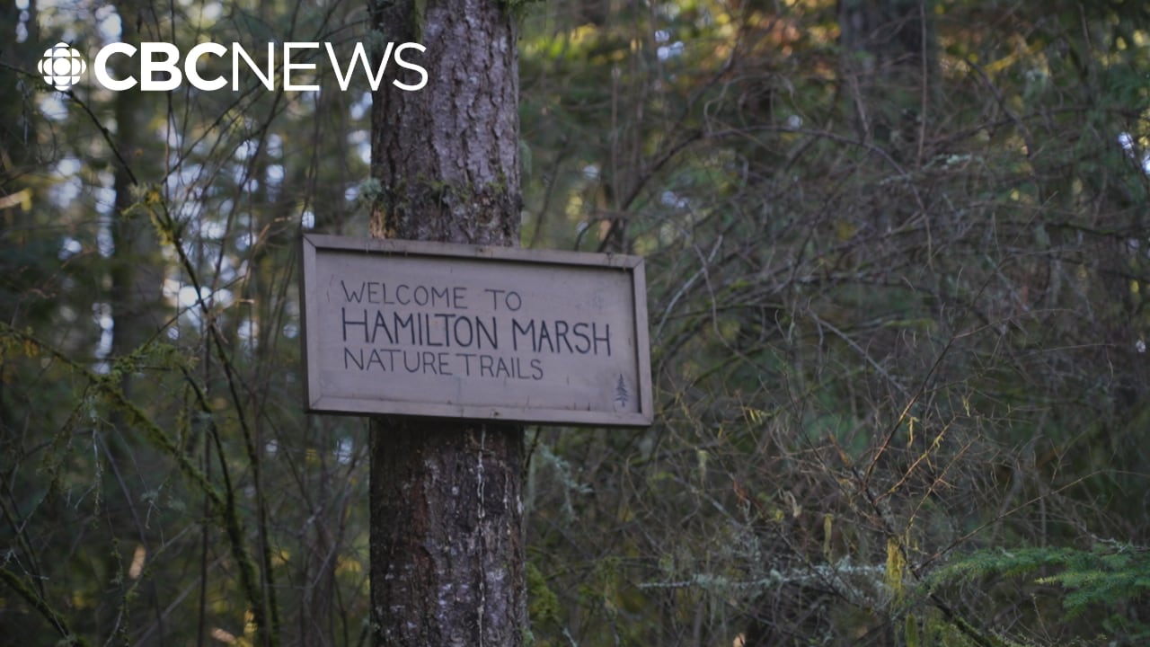Conservation groups fundraising in hopes of purchasing Nanaimo's ...