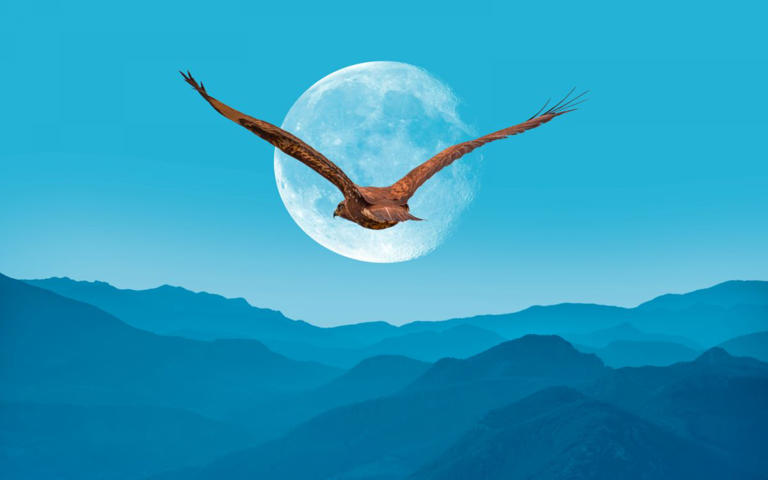 Sny o létání. Proč se nám zdají tak často a jaký je jejich význam?