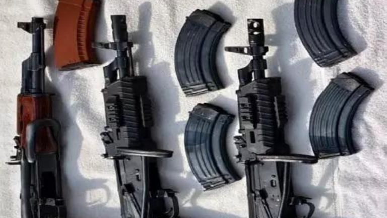 Major terror attack foiled: Pakistan-sent weapons seized in Pathankot ...