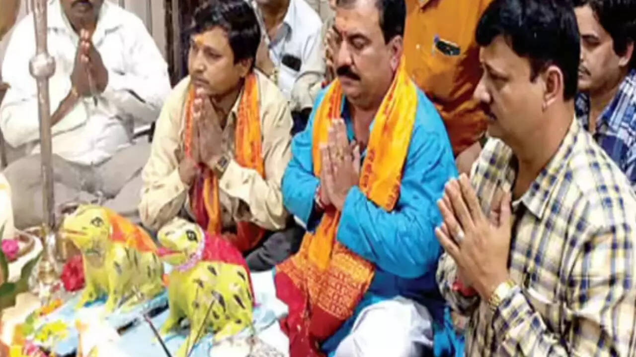 A wedding invitation to the clouds: Inside India’s frog marriages