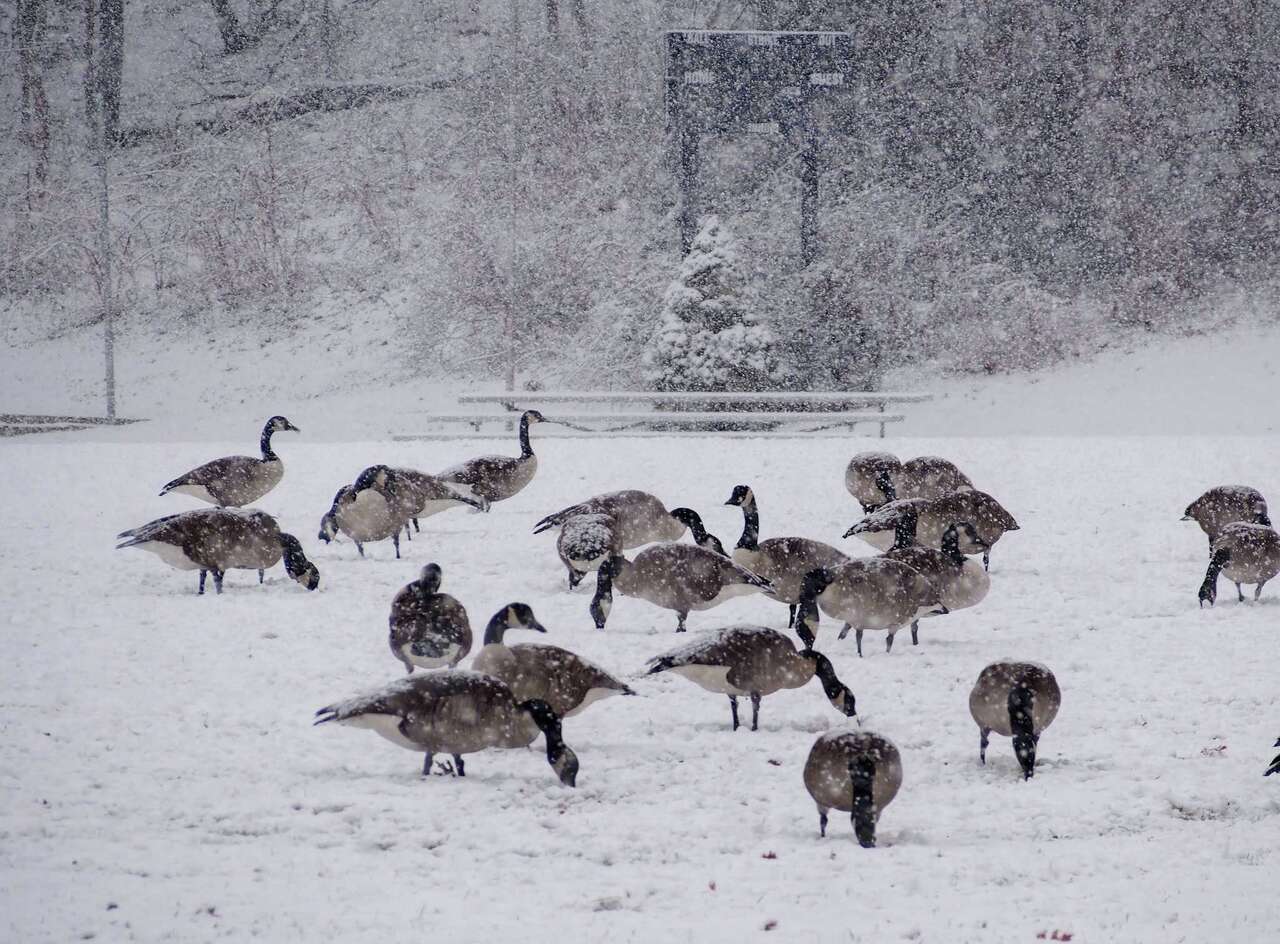 How much snow did Connecticut get from Saturday's storm?