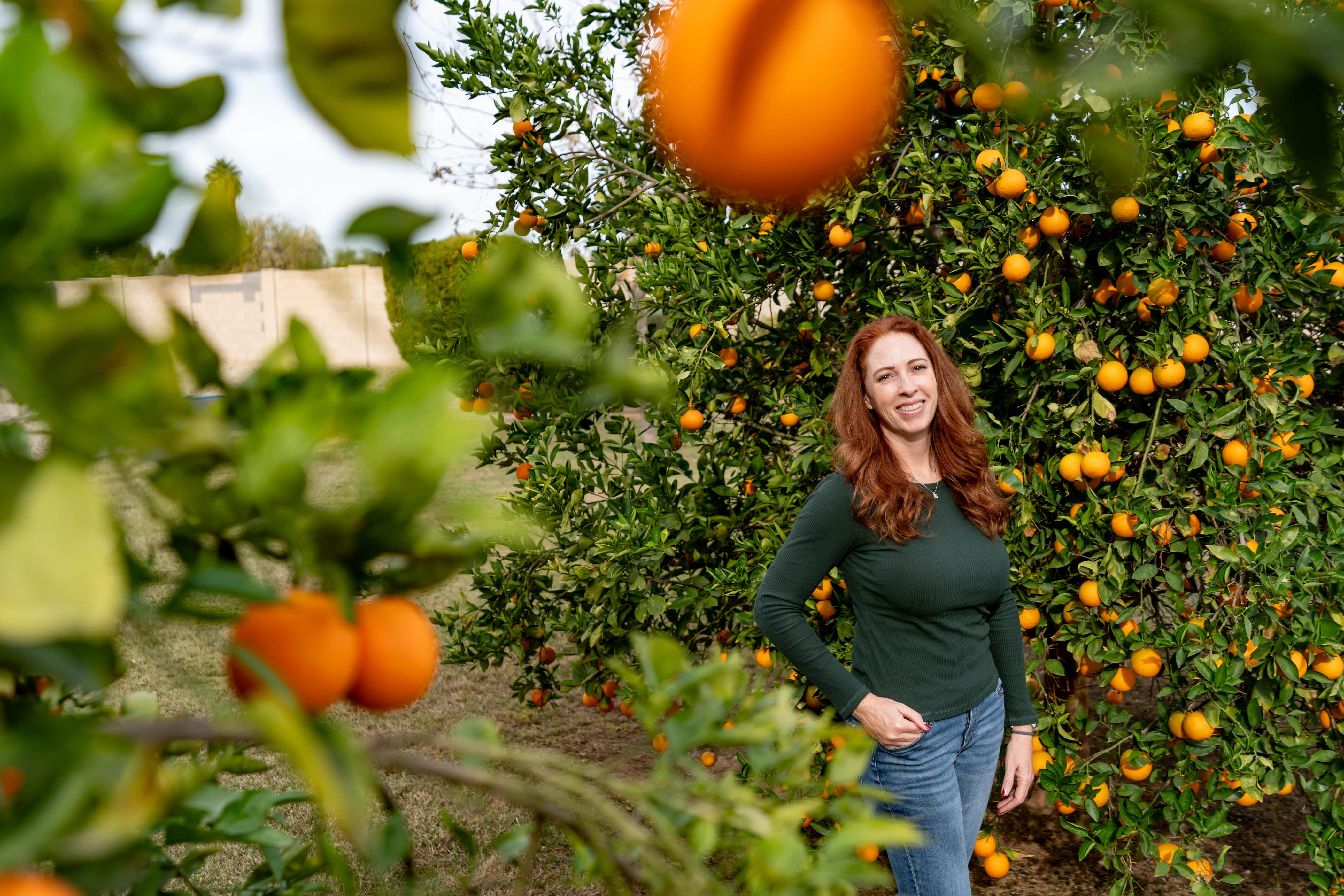 Gas power plant for data center project stirs concerns in Surprise