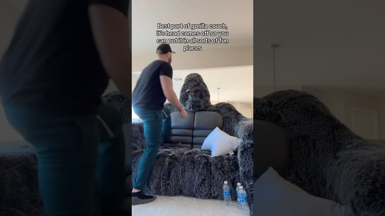 Why we need a gorilla couch