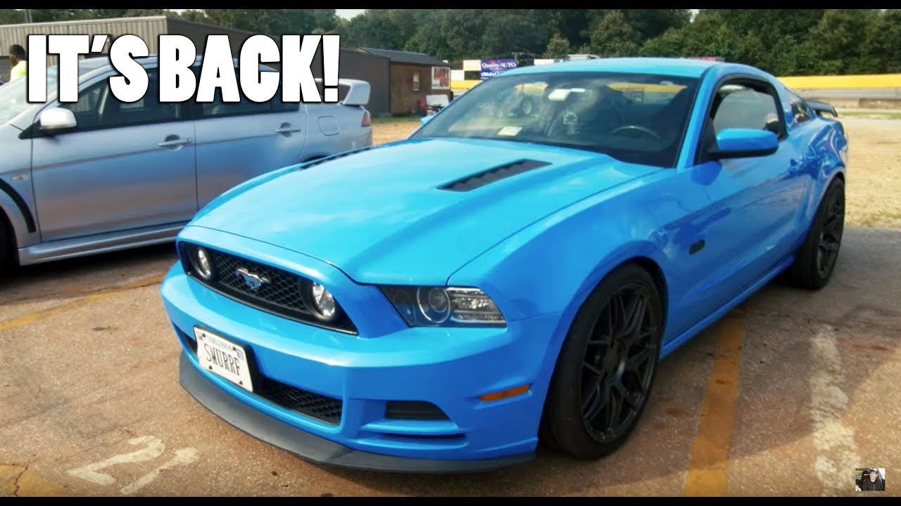 Smurrf Mustang crashes a random car meet with chaos