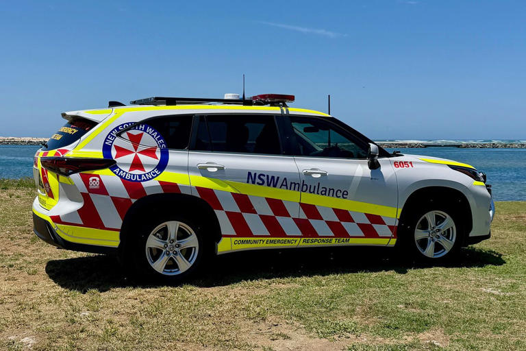Teenage boy critically injured in attack by 'large shark' at popular ...