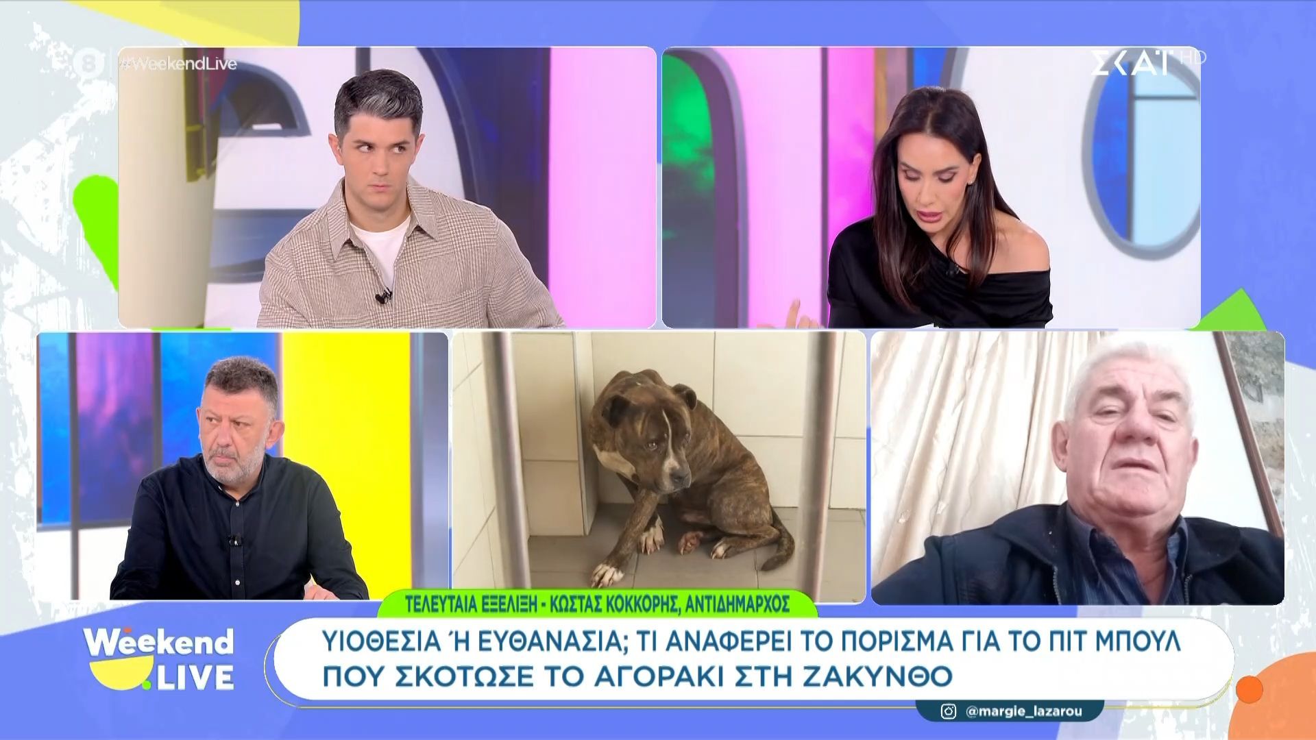 Τι αναφέρει το πόρισμα για το πιτ μπουλ που σκότωσε το 2χρονο αγοράκι ...