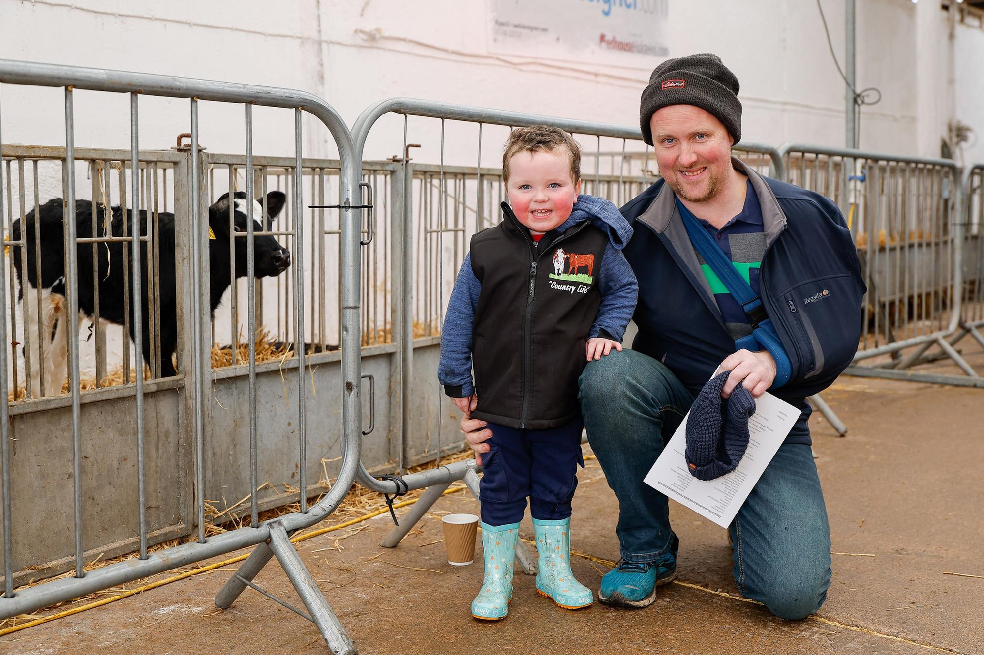 Redhouse Holsteins hosts World Wide Sires progeny showcase - Genetics ...