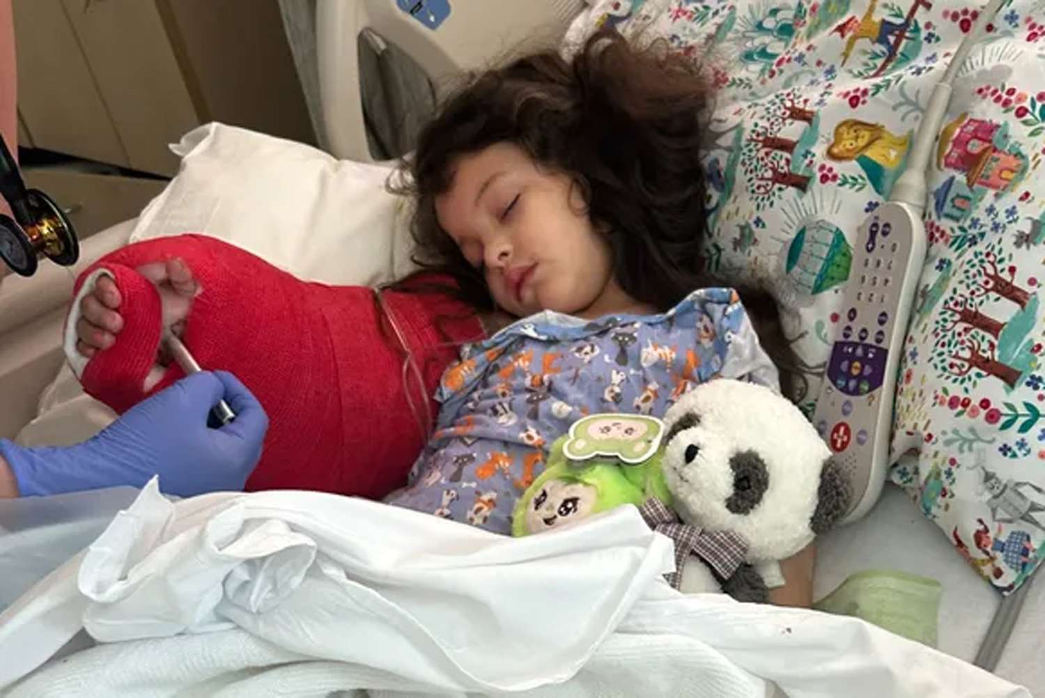 Girl, 5, almost lost her hand in brutal dog attack, father injured ...