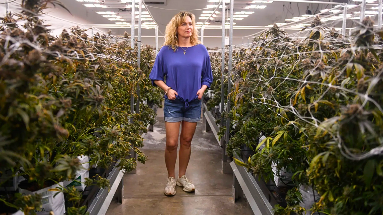 13,000% fee increase hits 8,000 Texas hemp shops as workers face fallout