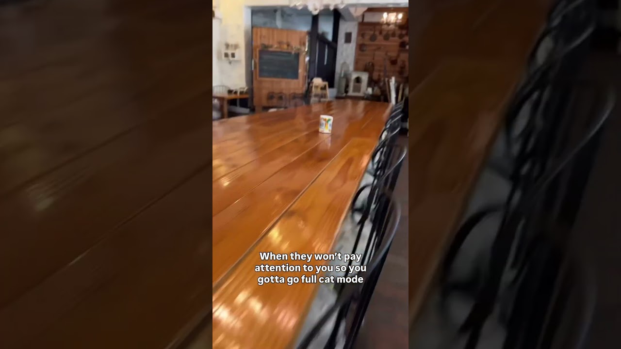 Turning into a cat after spending so much time at home