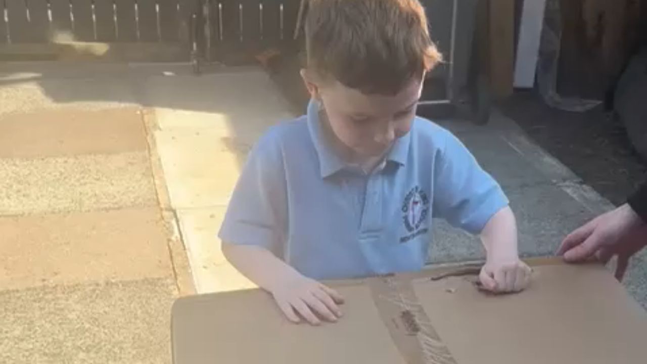 Little boy with autism finds joy in a surprise hidden in a giant box