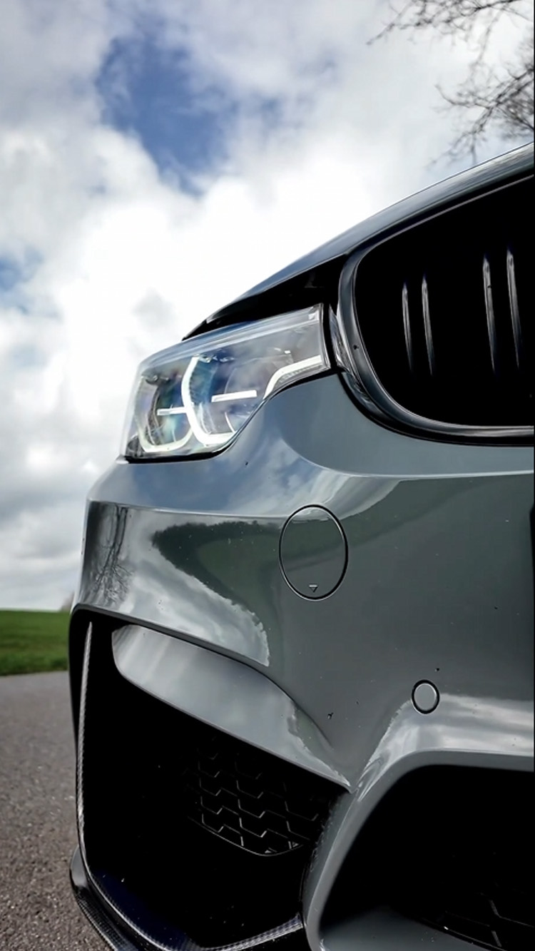 Insects land on reflective car surface