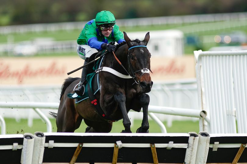 Old Park Star books Cheltenham Festival ticket with Haydock Park win