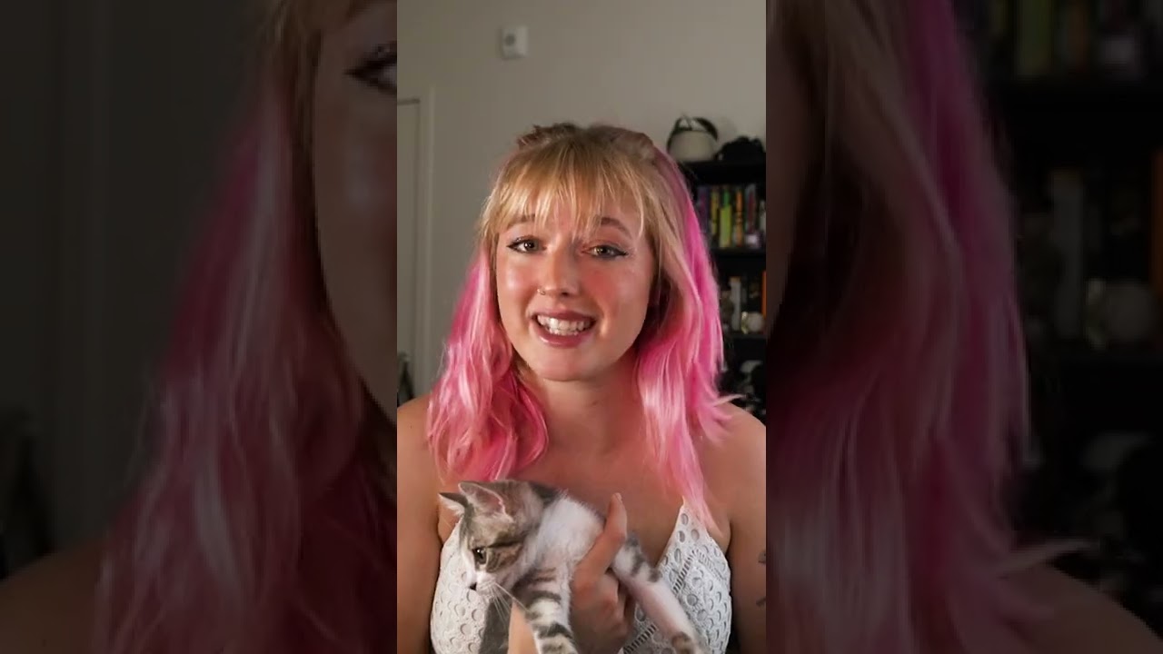 What you need to do to survive a saw-scaled viper attack