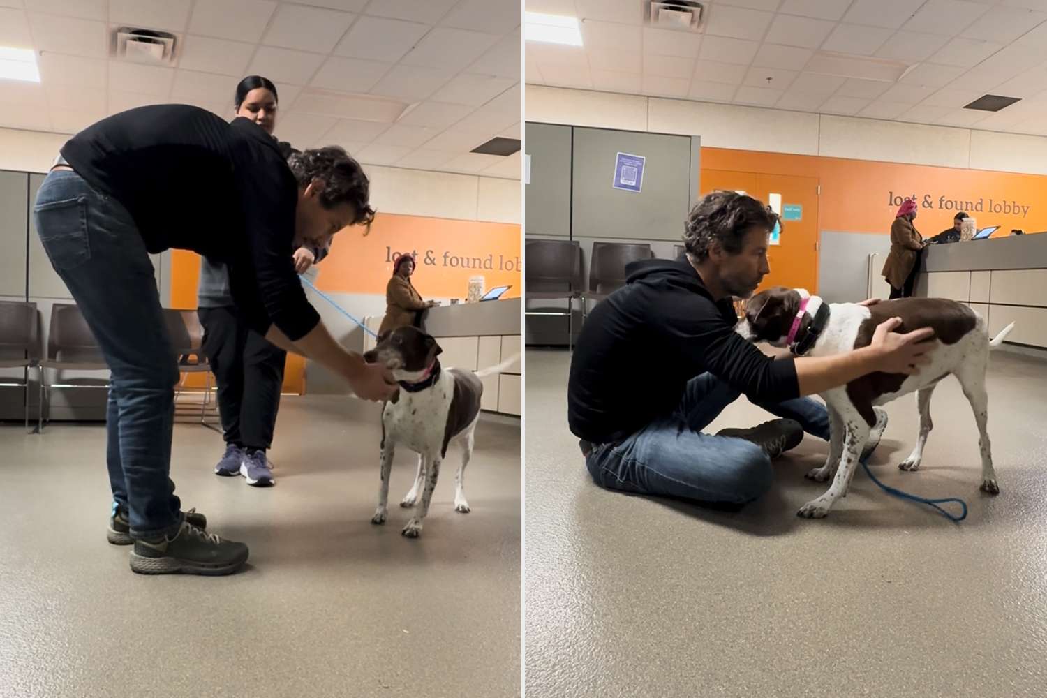 Man finds home for dog lost in snowstorm. 12 years later, he gets a ...