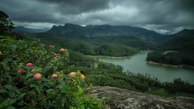 Experts raise red flags on concerning issue caused by sightseers in ...