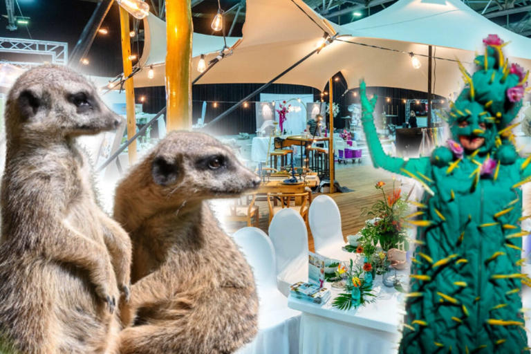 Von der Liebe bis zum Reisen: Acht Ideen für euren Sonntag