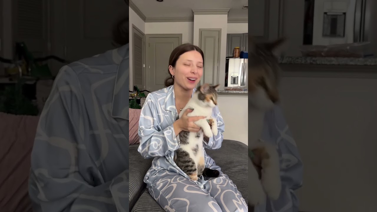 Proof my cats deserve their fierce names