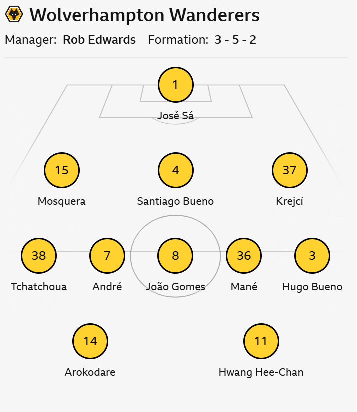 Wolves v Newcastle: Team news
