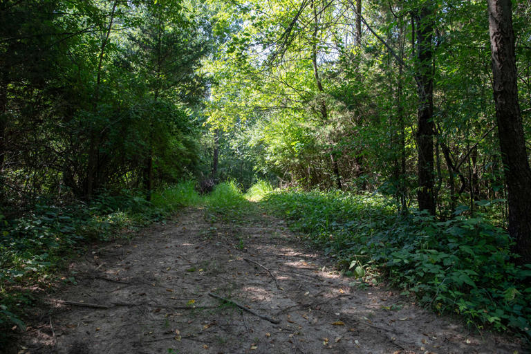 ‘I wake up and feel like he’s floating above me’: Part 4 of Body on the ...