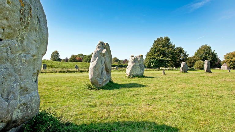 Trees to be felled near historic stone circle