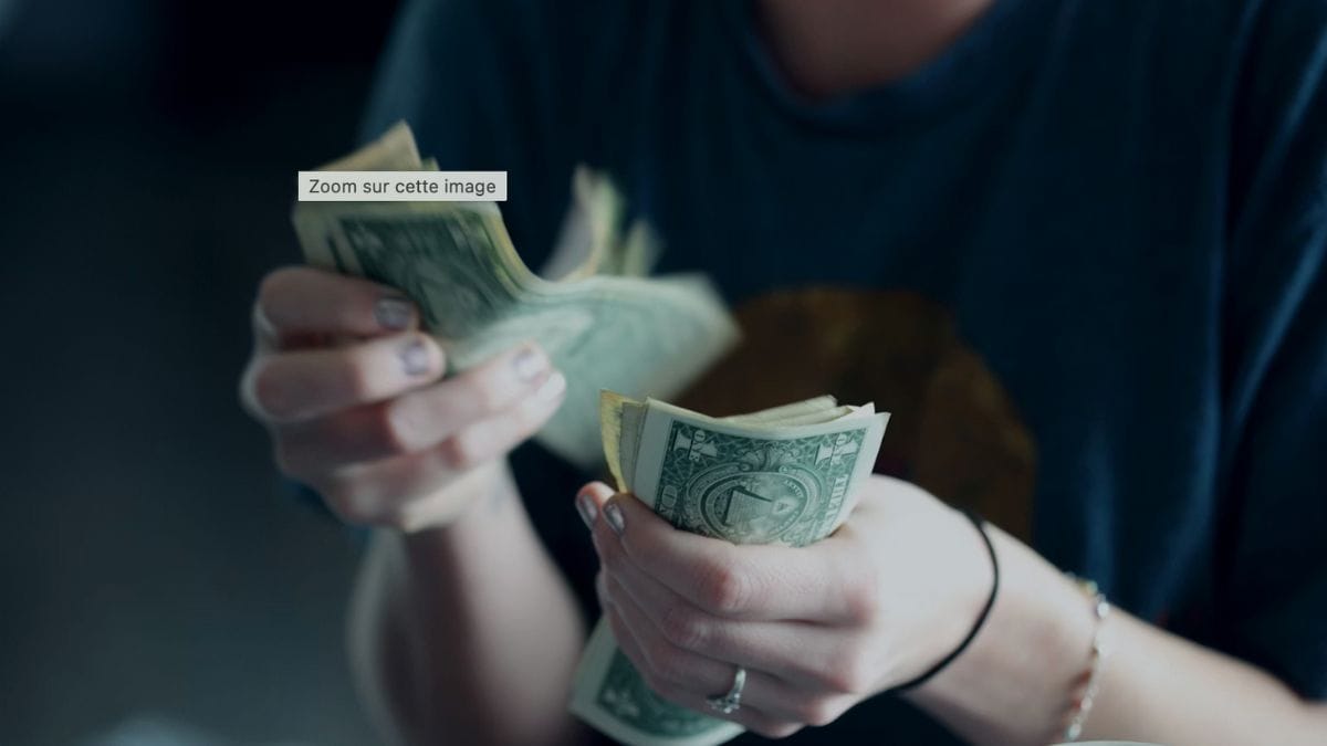 Owner finds cat burglar's stash after money vanishes for a fortnight