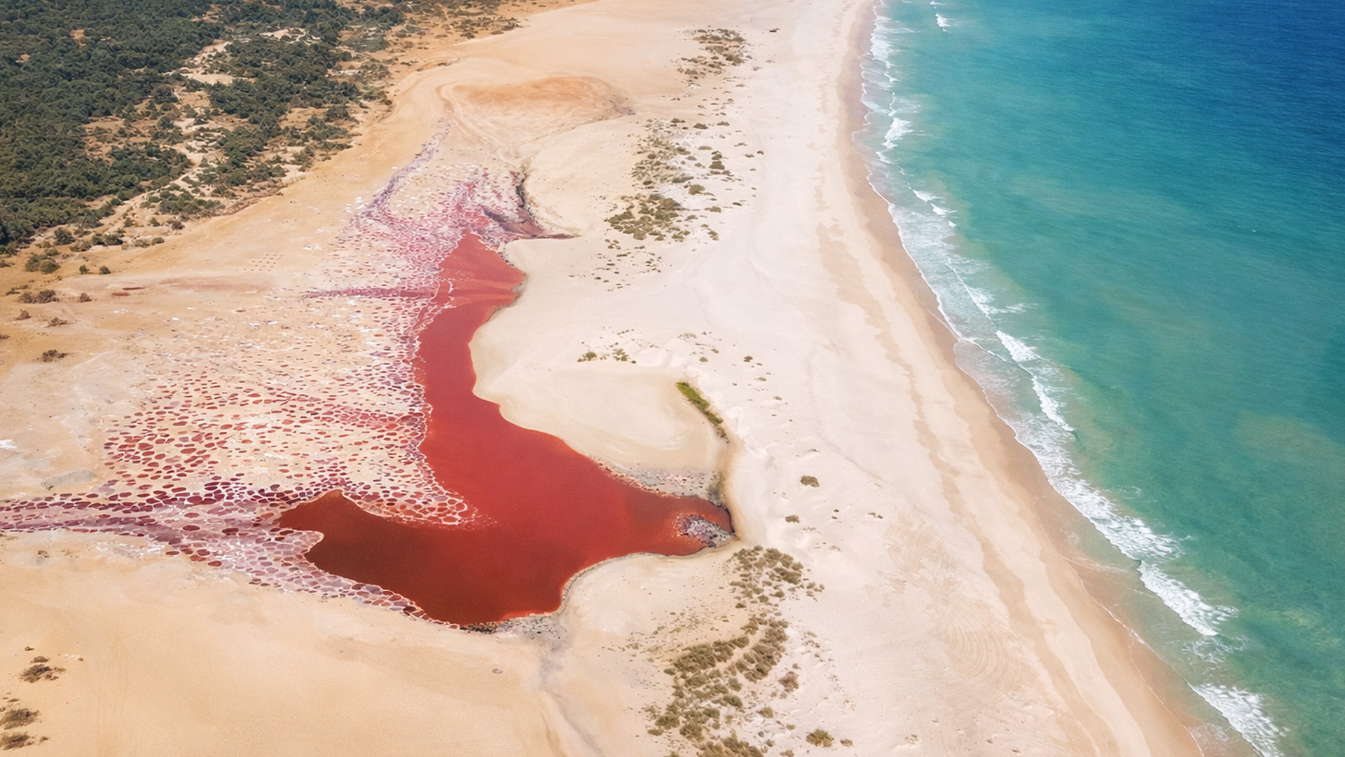 Shoab Beach : une plage ou une expérience scientifique