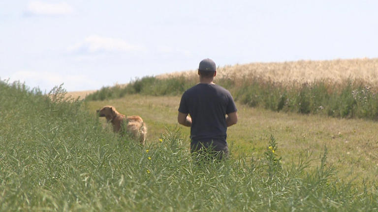 Co-operation between province, federal government on canola deal a ...