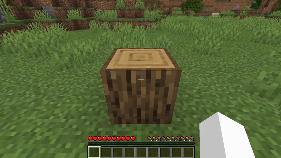 Minecraft oak log review