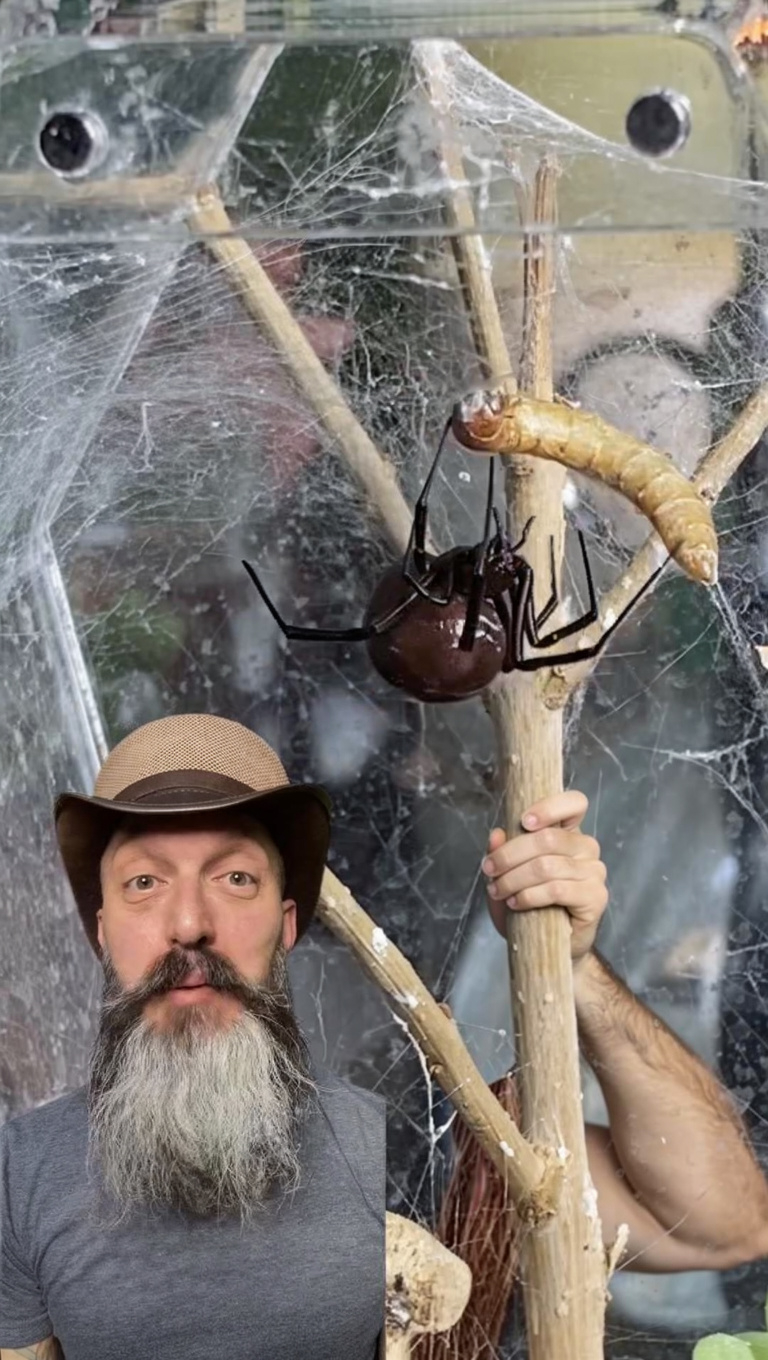 Remember my spider Lilith?