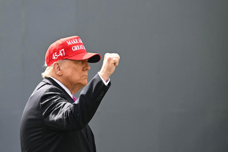 Trump’s first year in office has been a norm-busting power play