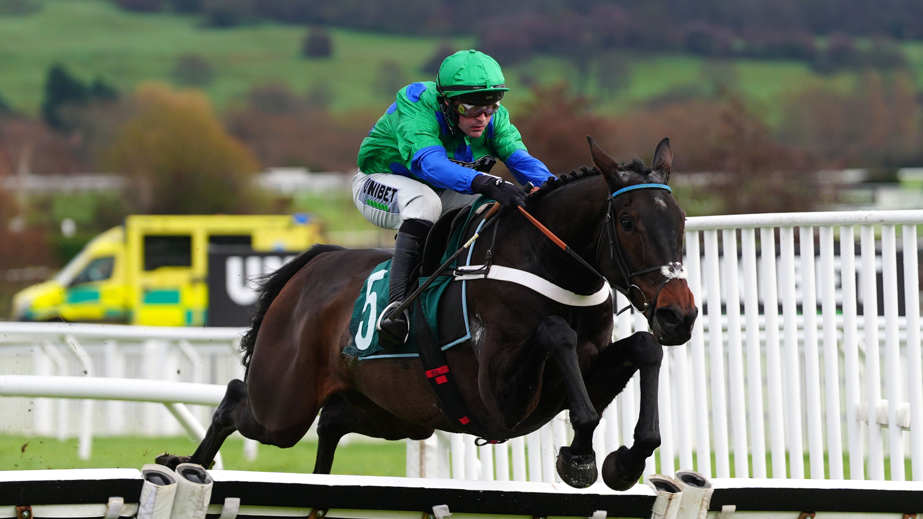 Old Park Star has owner dreaming of Supreme strike