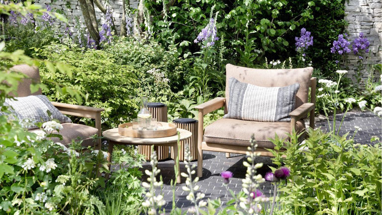 7 low-effort cottage garden plants that practically grow themselves ...
