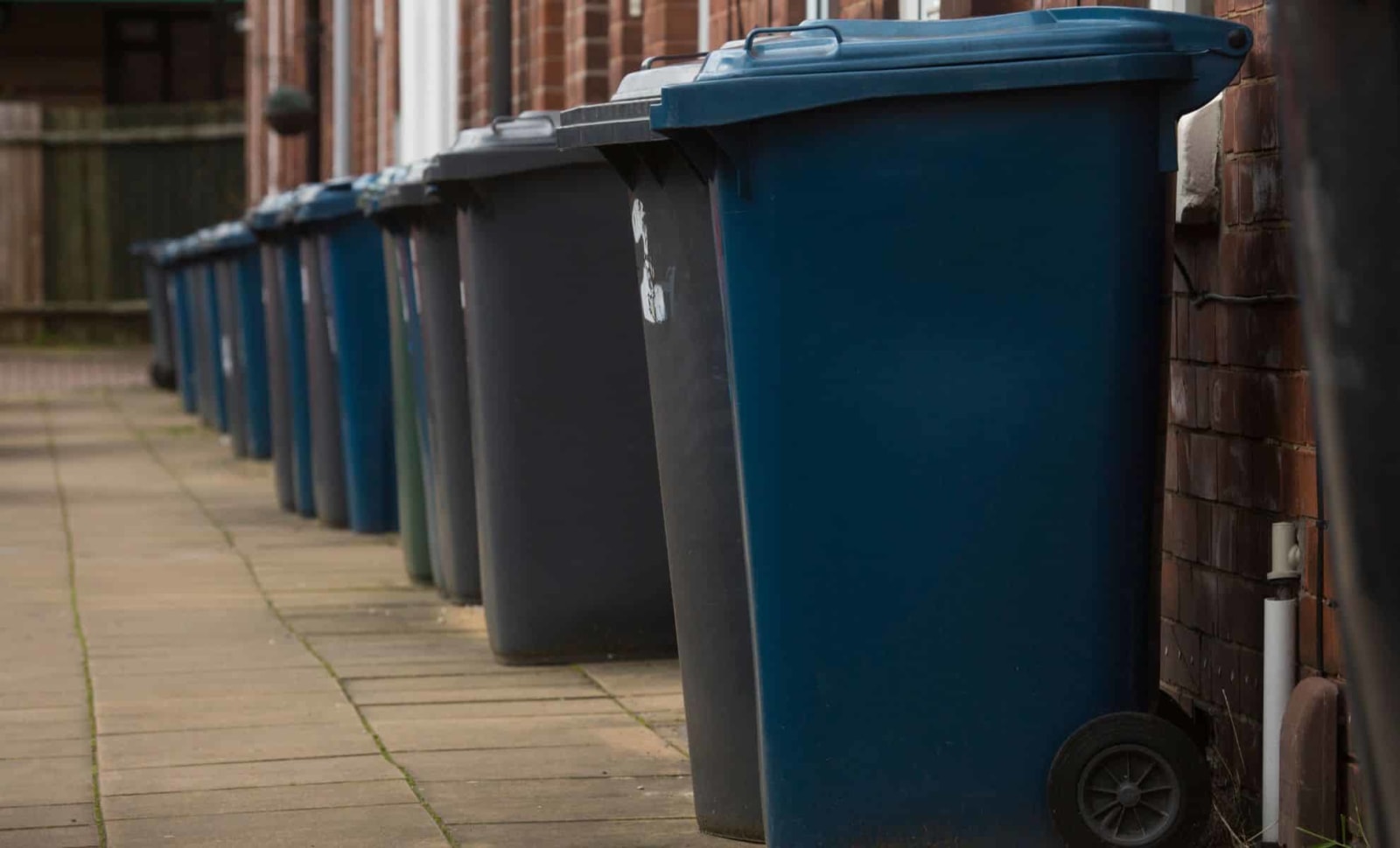England’s bin overhaul begins March 31, waste offenders face tough ...