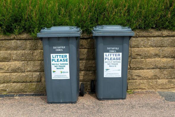 New bin rules across England from March 31 - full list of 37 items you ...