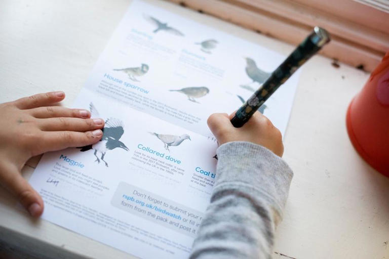 RSPB Big Garden Birdwatch 2026 returns as West Yorkshire urged to make ...
