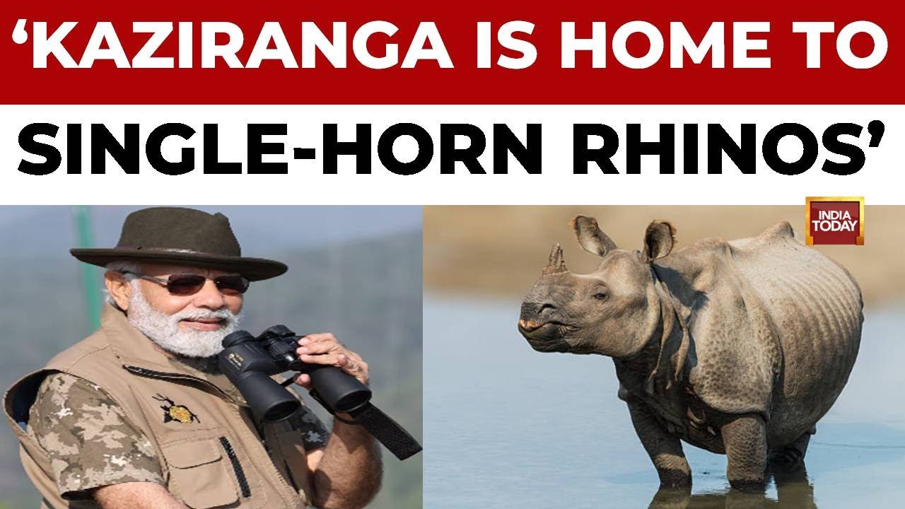 Narendra Modi announces ₹7,000 crore elevated wildlife corridor for ...