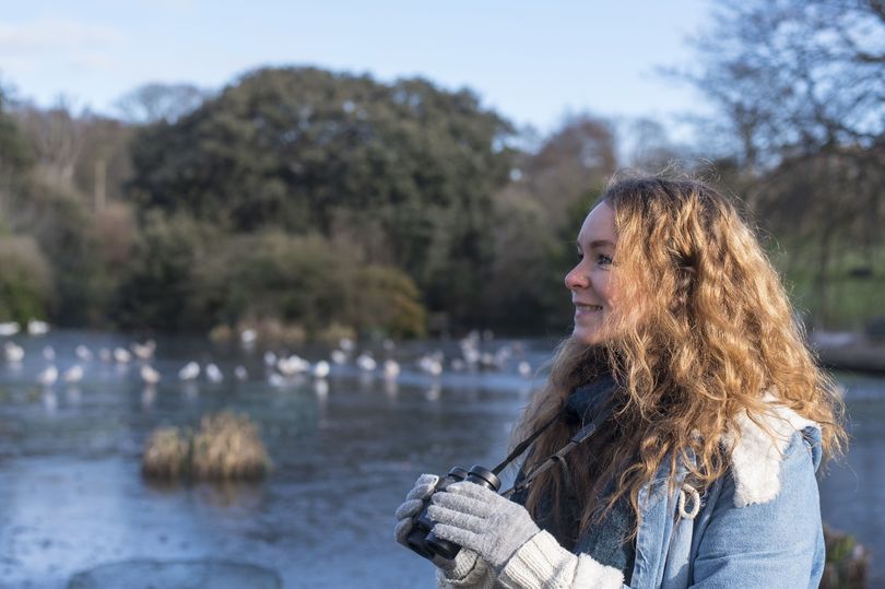 Garden birds in northern Lincolnshire counting on you to do your bit ...