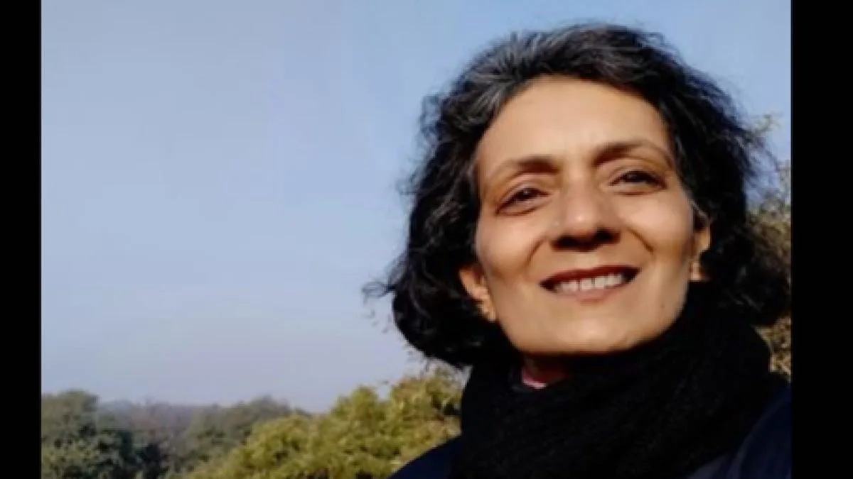 Saving Aravallis from death by definition, all eyes on Jan 21