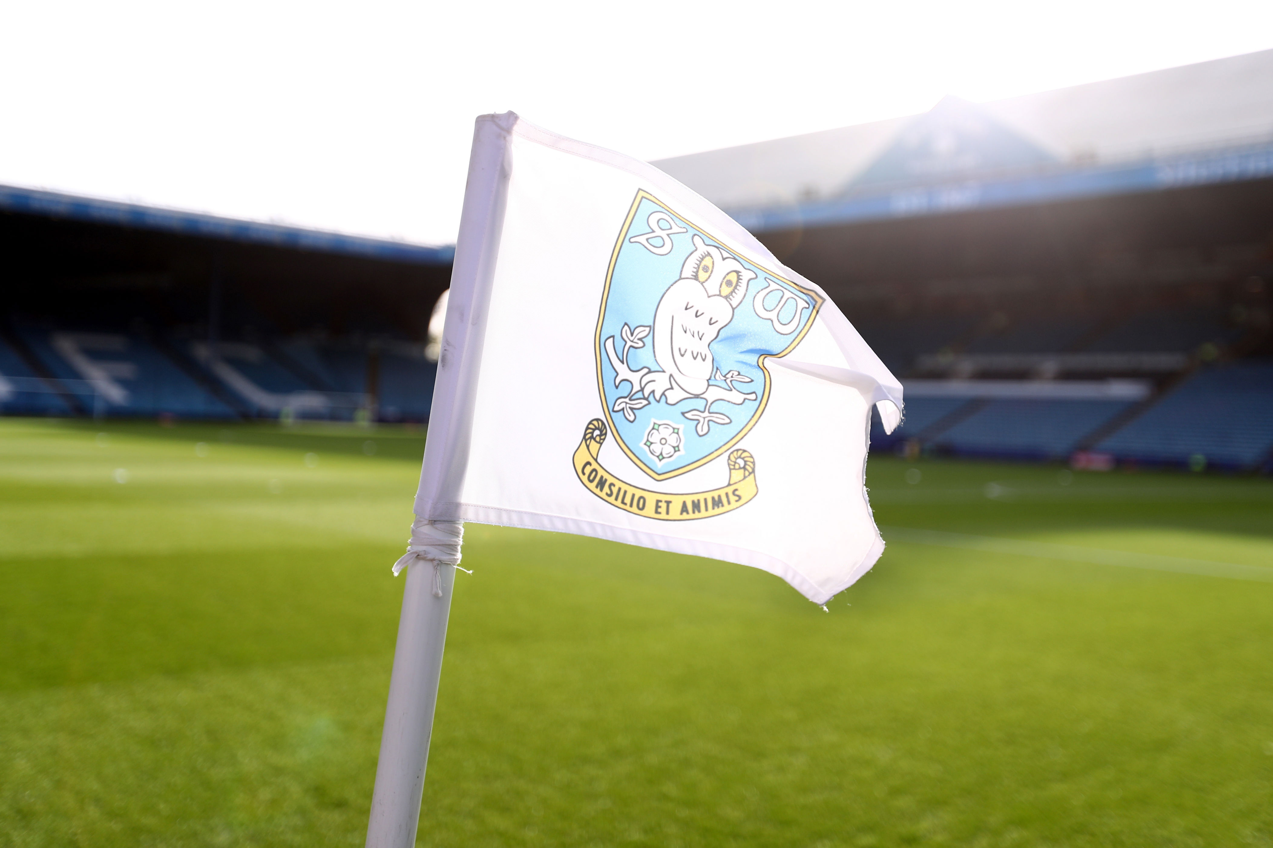 Rangers transfer 'enquiry' over Sheffield Wednesday star comes to light ...