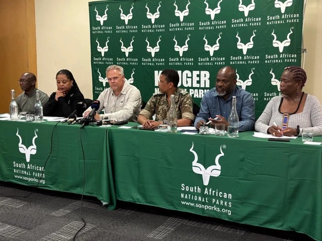 Kruger National Park establishes relief fund following devastating ...