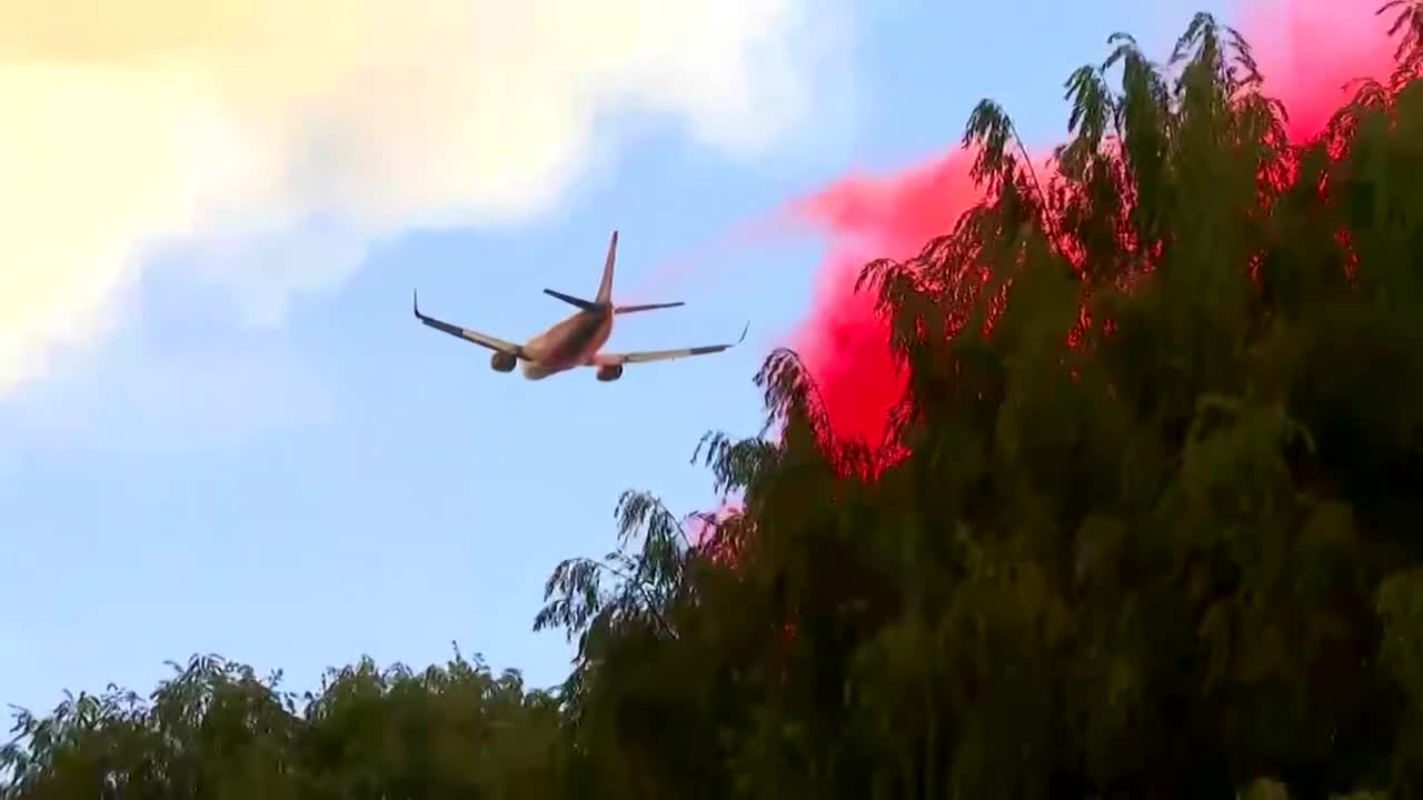 Multiple forest fires spark emergency evacuations in Chile