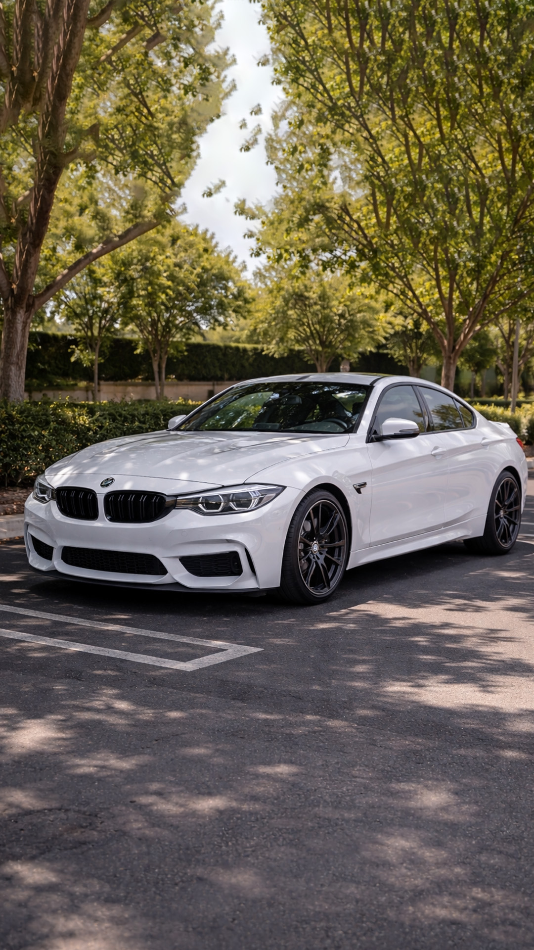 Driving the BMW M3 on fast roads